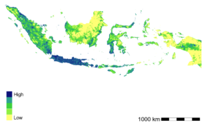 Backpacking Indonesia: Guide To The Best Islands To Visit