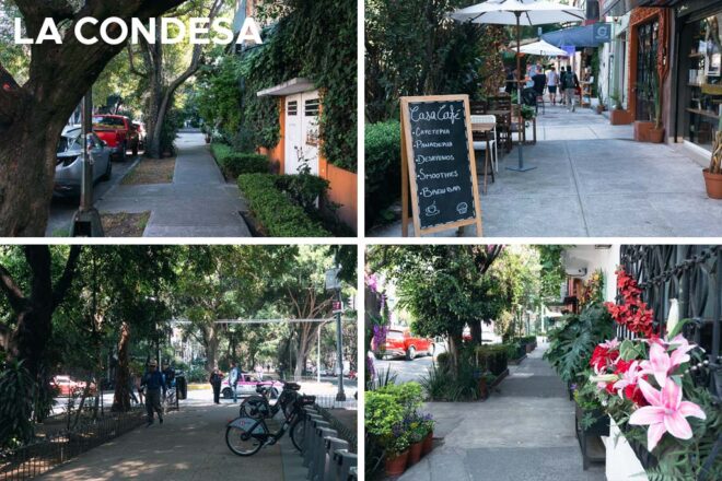 Where I Stayed in Mexico City (Hotel + Area Guide)