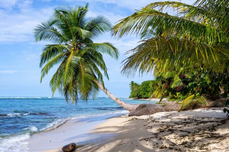 Bocas del Toro Island Hopping Guide – Best Islands & More